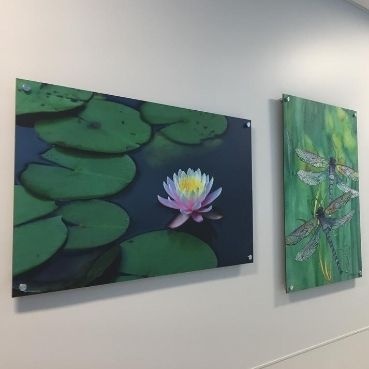 4 Ways to Incorporate Biophilic Artwork in Healthcare | Blog